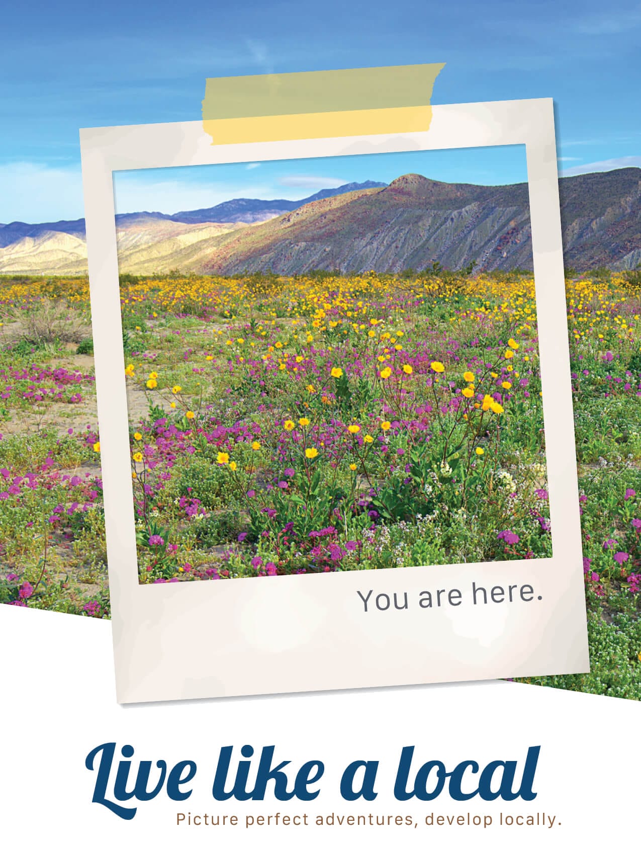 Local Life Blooms With Gallery Views, Friendly Toasts & Sculpture Treks ...